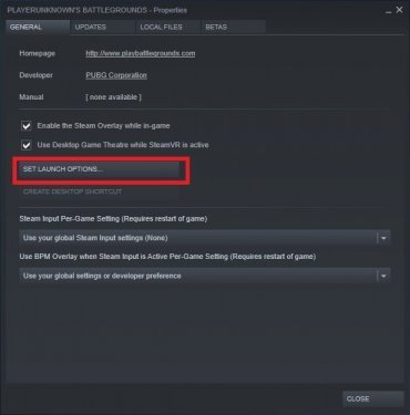 Steam Launch Options for PUBG PC - Noobs2Pro