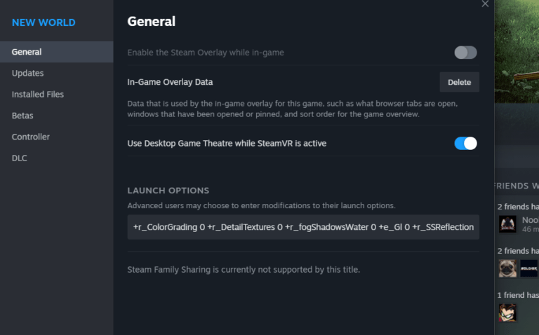 New World Steam Launch Settings for max fps - Noobs2Pro