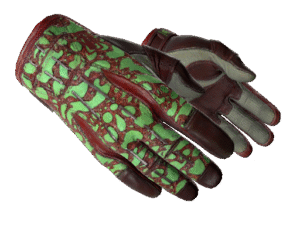 Best Gloves for Every Color Loadout in CS2 - Noobs2Pro